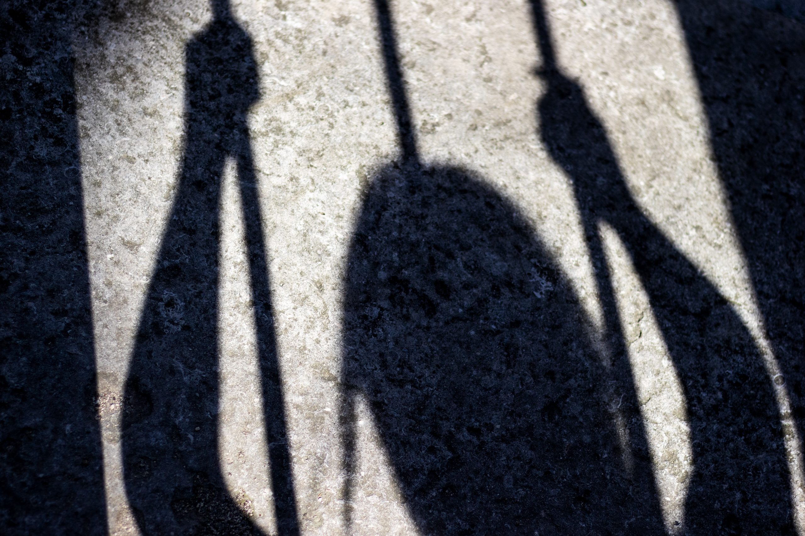 The Preventable Harm of the Prone Restraint - disAbility Law Center of ...